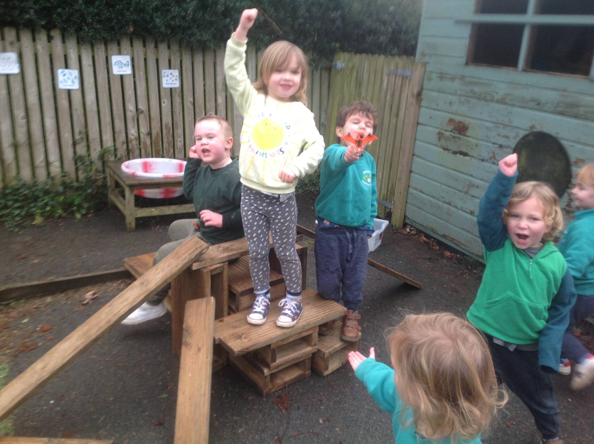 The Woodland Federation - Class Structure